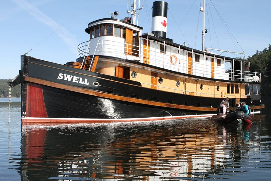 Your Trusted Boat Repair Service – Commodore's Boats